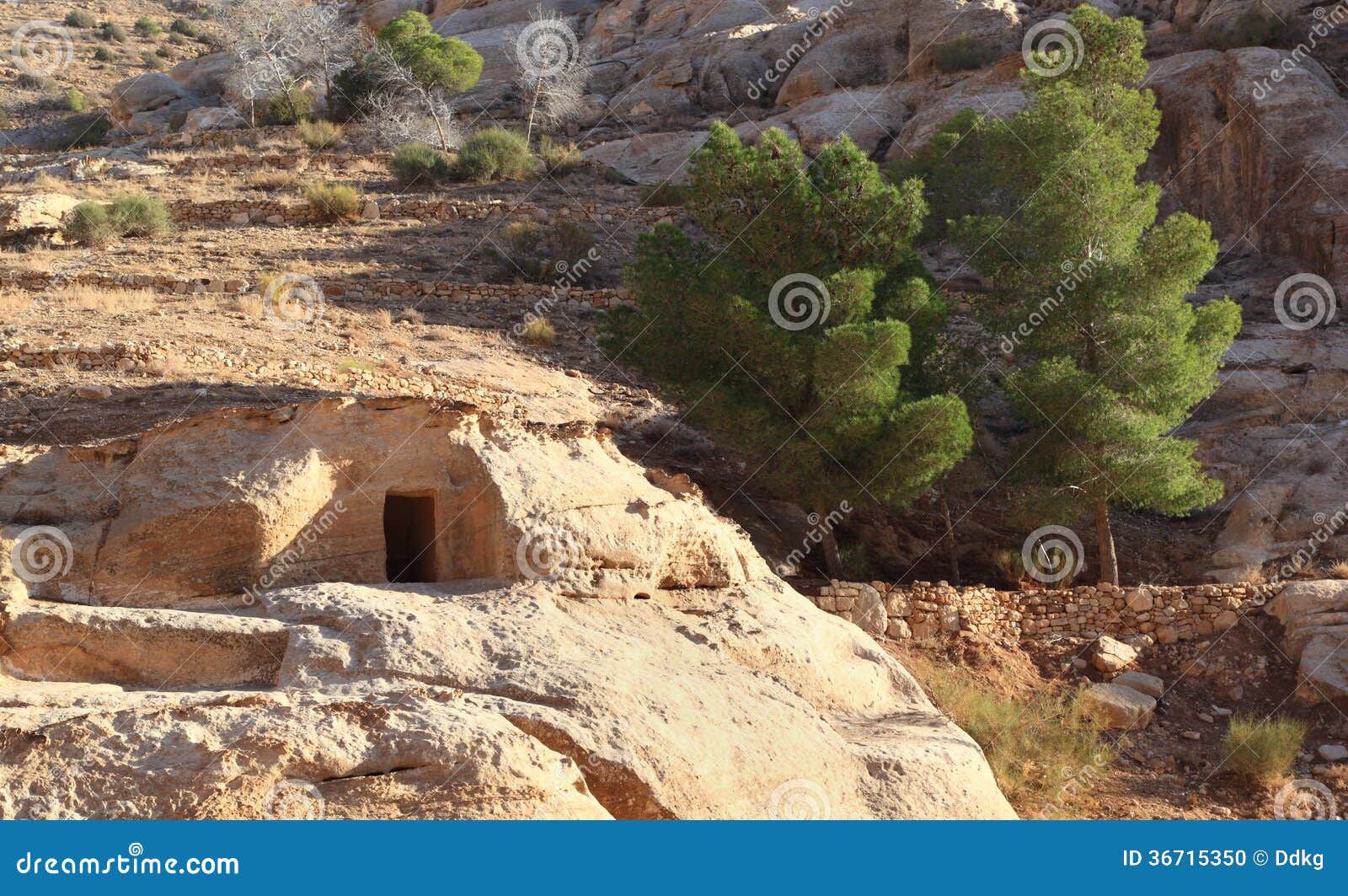 Rock Cut Tombs at Petra stock photo. Image of petra, jordanian - 36715350