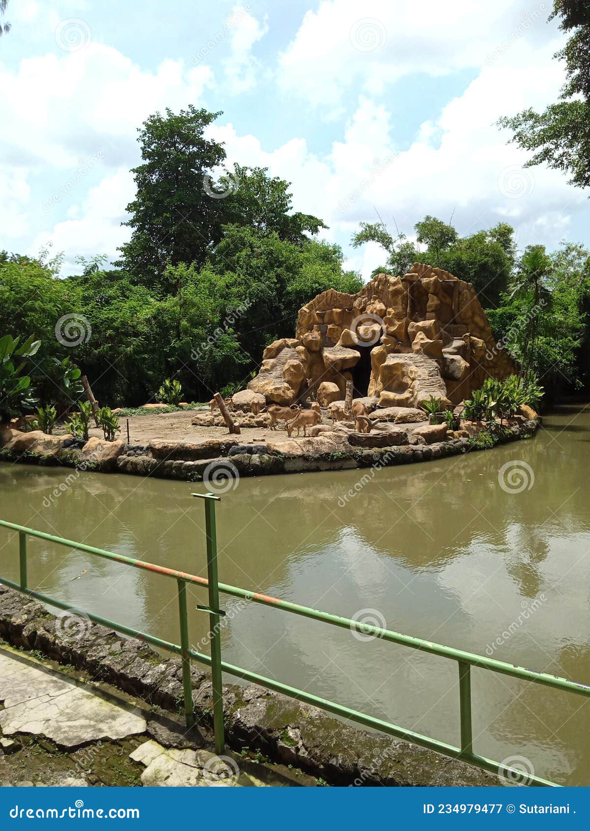 Rock Deer Cave for Animal Zoo Stock Image - Image of deer, animal ...