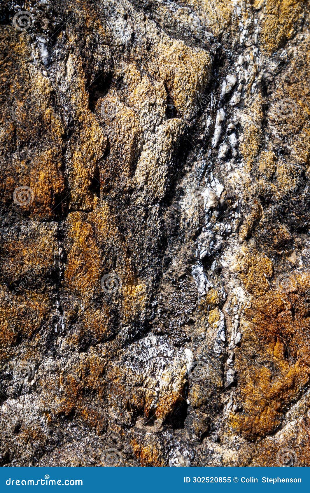 Rock Detail of Quartz and Granite Texture Stock Image - Image of ...