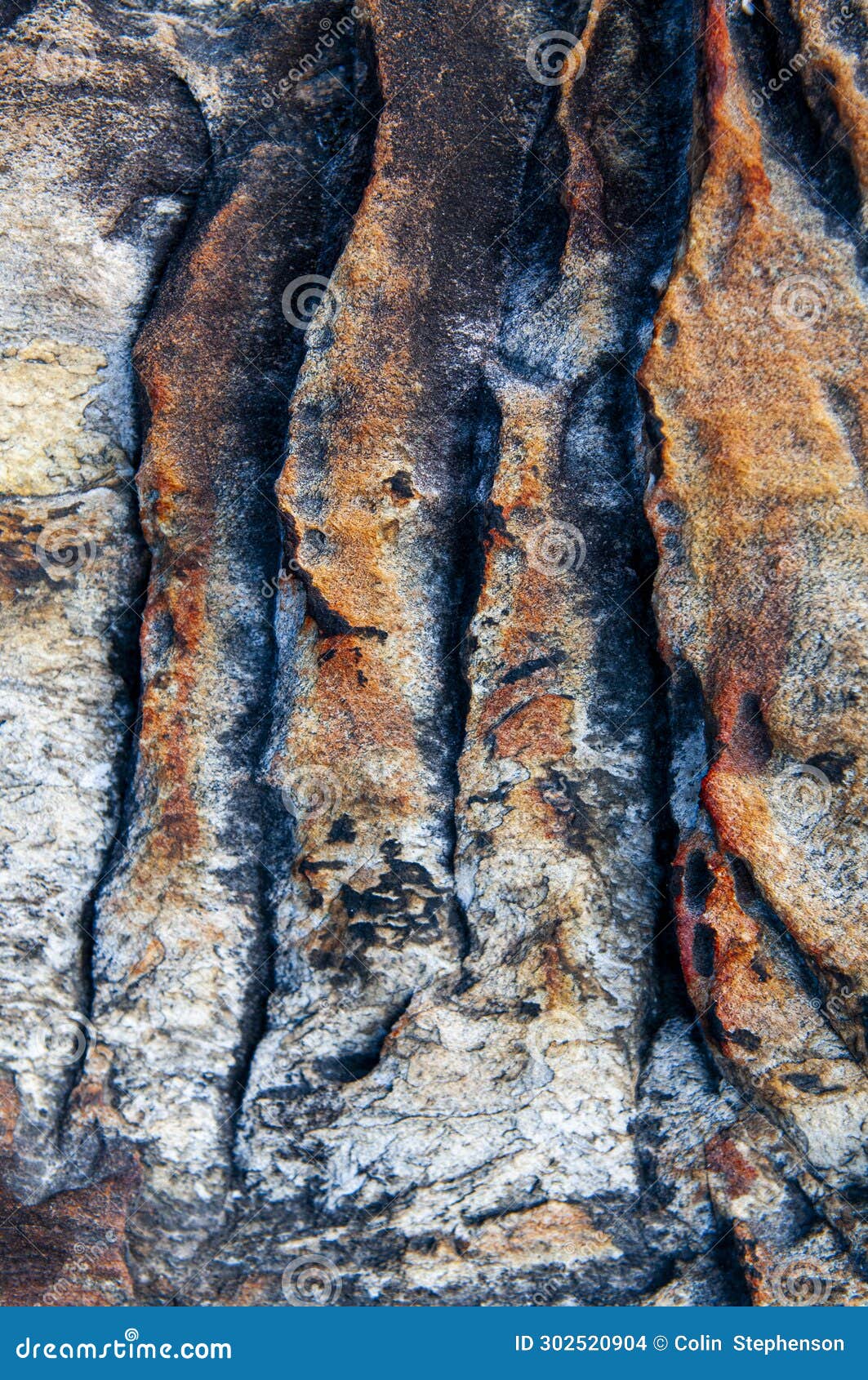 Rock Detail of Quartz and Granite Texture Stock Photo - Image of ...
