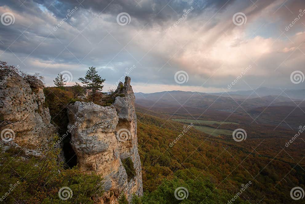 Rock stock photo. Image of view, devil, rock, leaves - 206213620