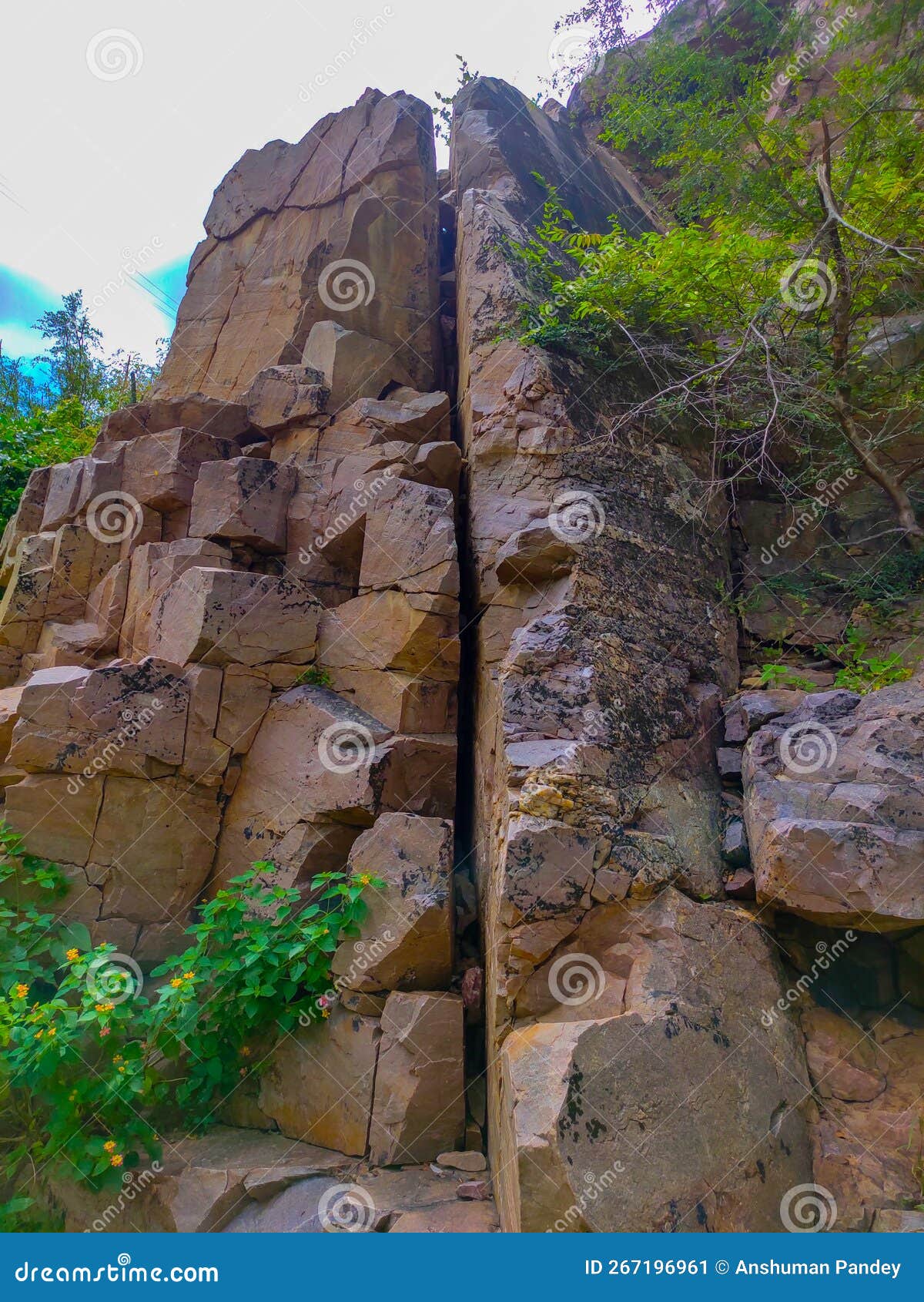 The Rock Divided into Two Equal Parts Stock Image - Image of plant ...