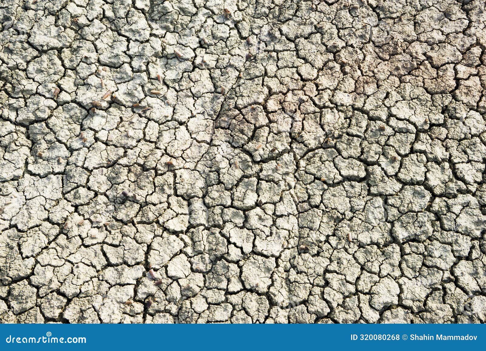 Mysterious Egg Cracking With Light Royalty-Free Stock Image ...