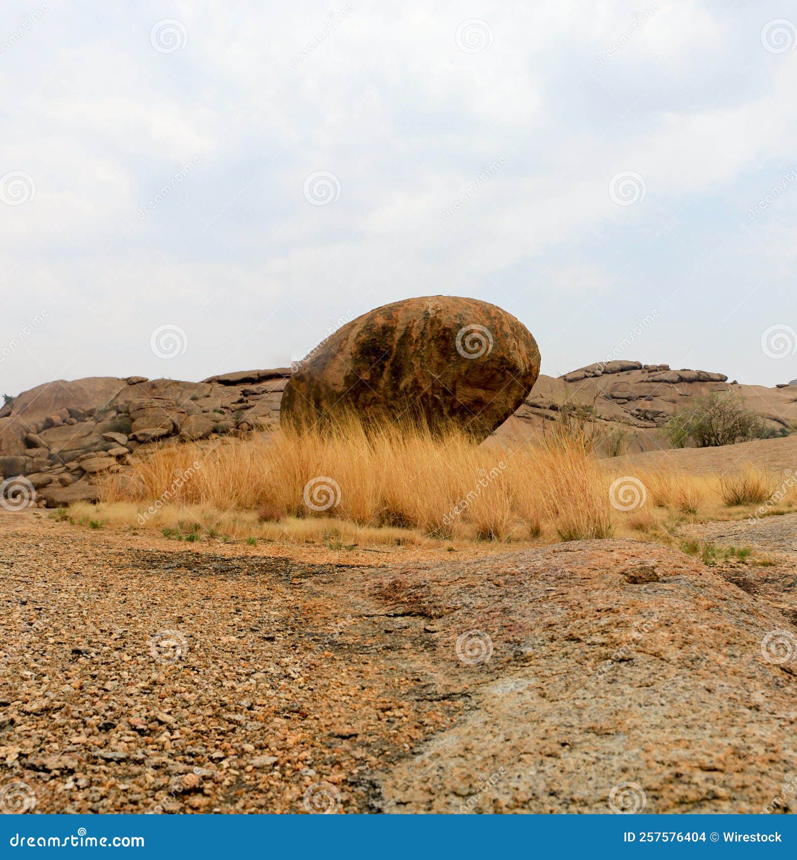 Rock among Dry Grass in an Arid Land Stock Photo - Image of natural ...