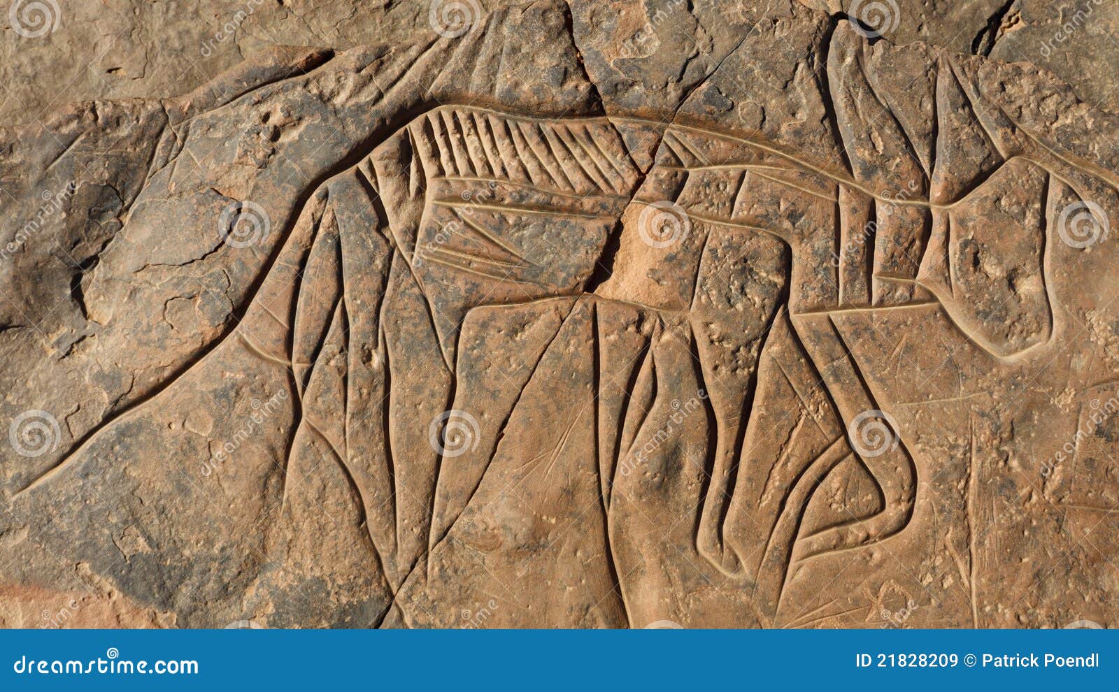 Rock Engraving in the Desert Stock Image - Image of sahara, prehistoric ...