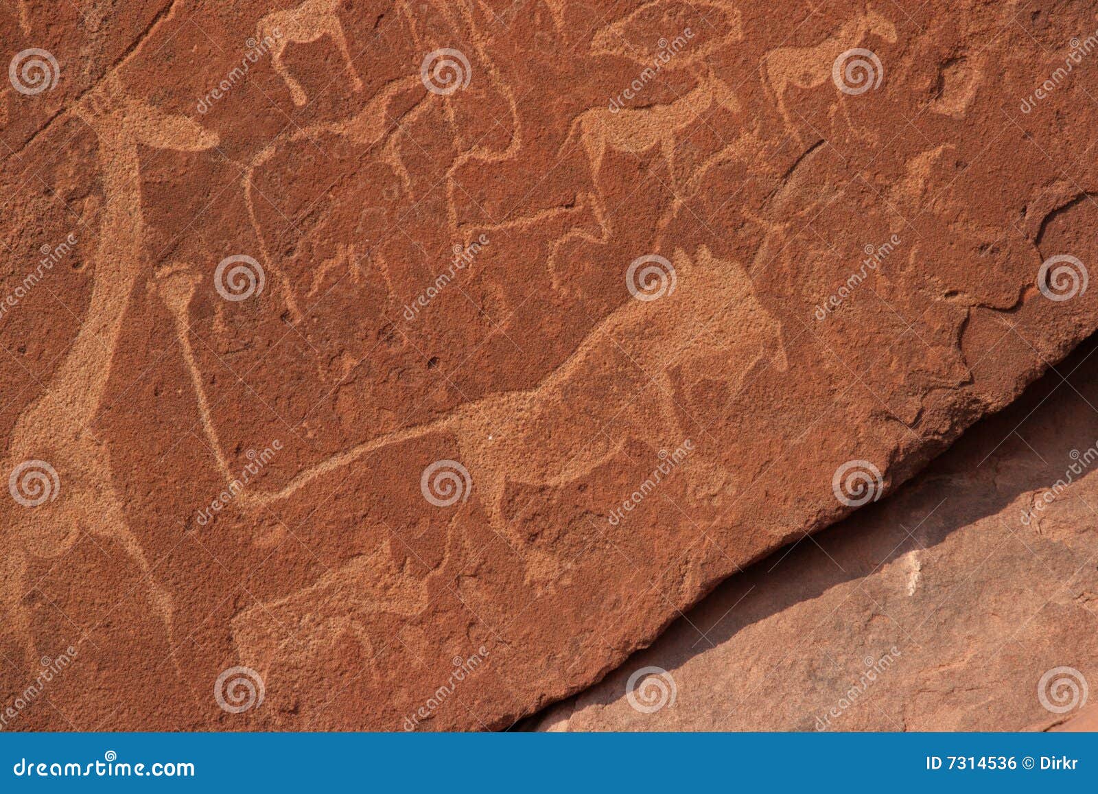 Rock Engravings stock photo. Image of rock, twyfelfontein - 7314536