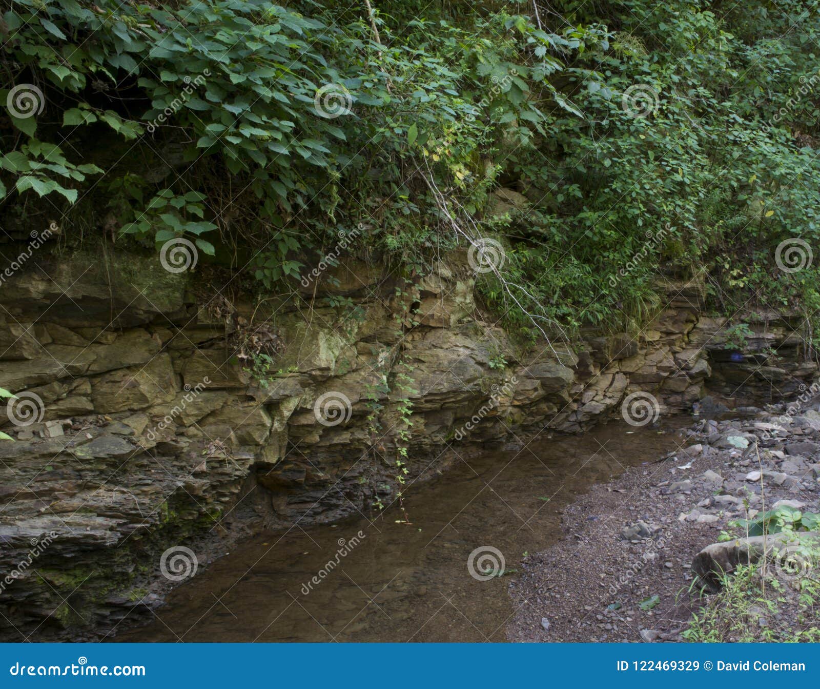 Rock face and stream stock image. Image of stream, forest - 122469329
