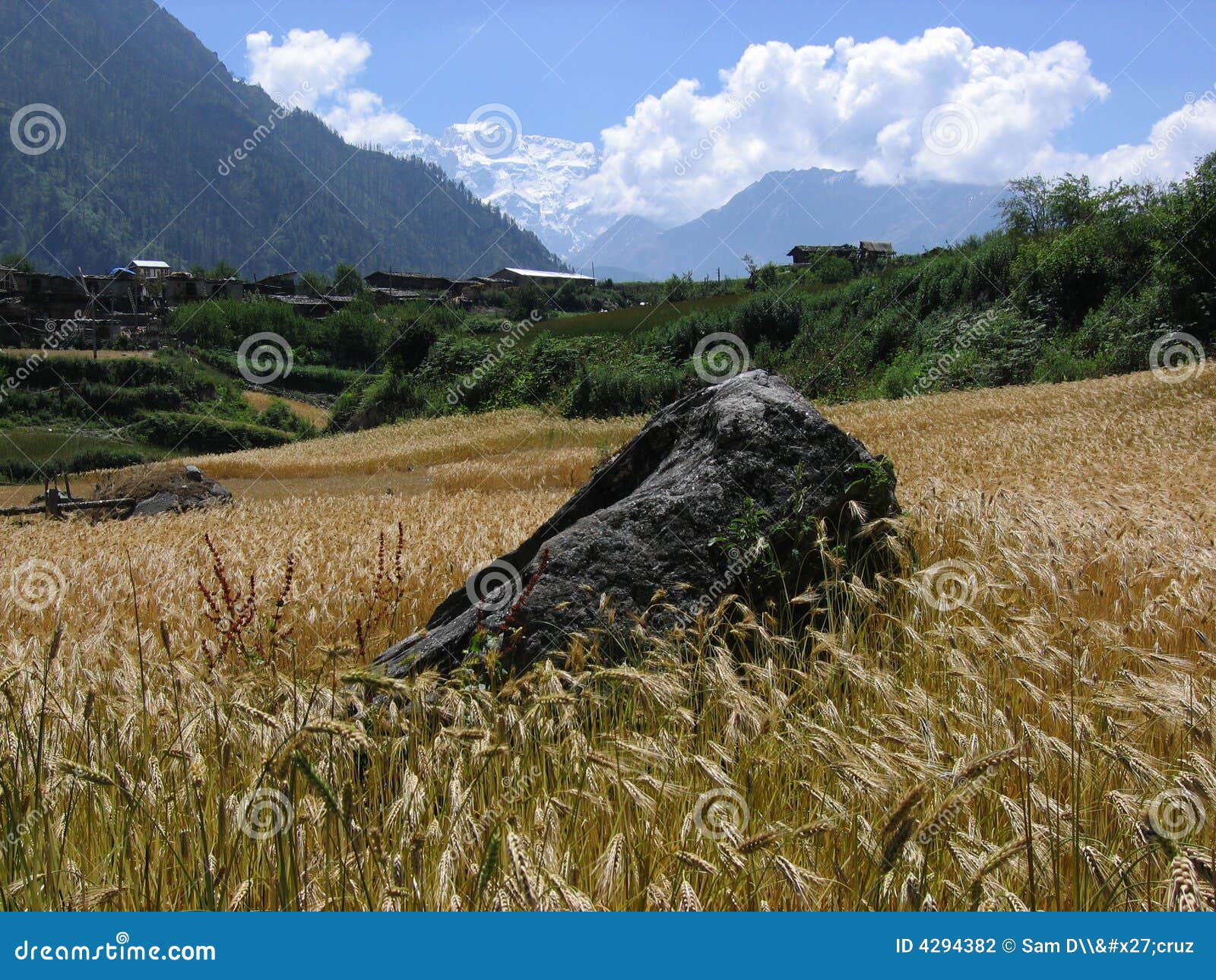 Rock in Field stock photo. Image of nepal, remote, annapurna - 4294382