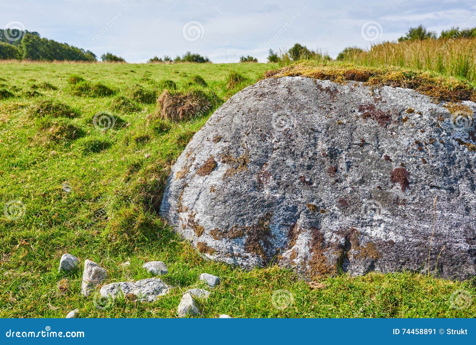 Rock in Field stock image. Image of field, boulder, rocky - 74458891