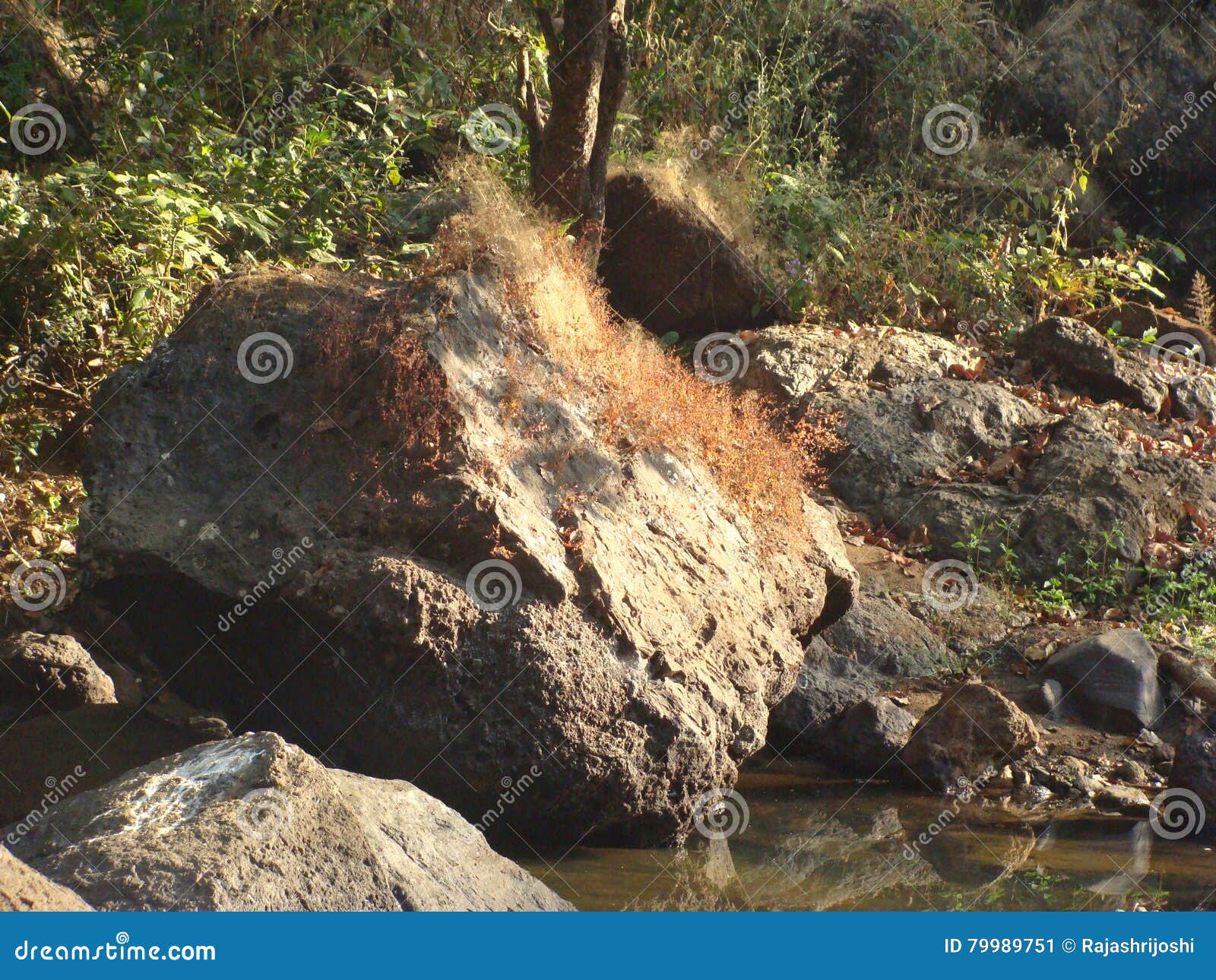 A rock stock image. Image of spring, beauty, rough, leeching - 79989751