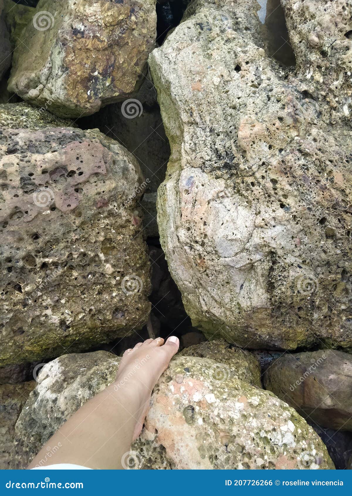 Rock foot brown stock photo. Image of soil, rock, boulder - 207726266