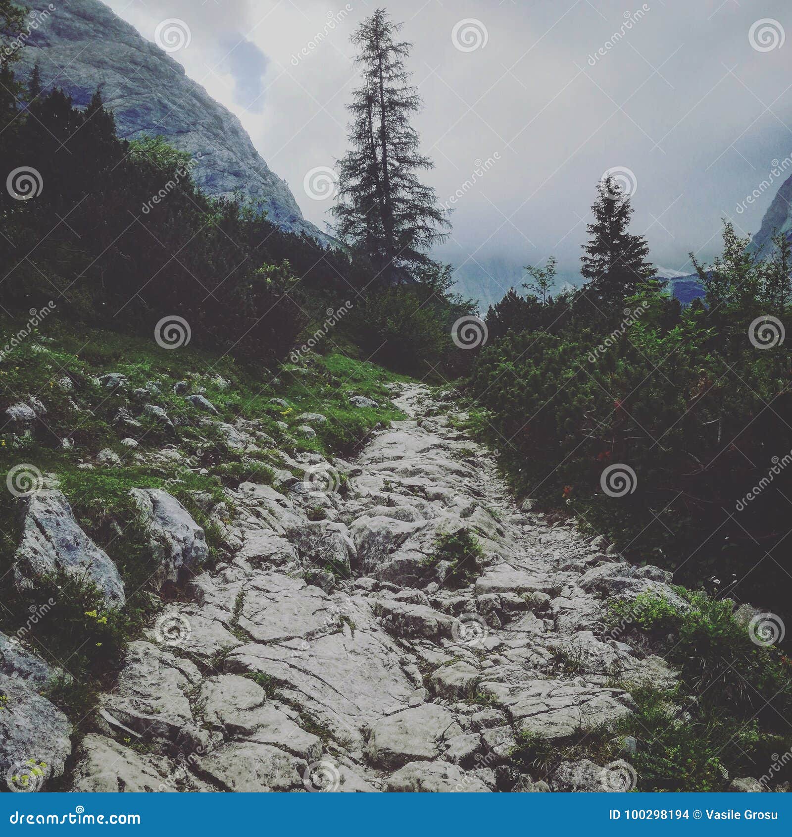Footpath stock photo. Image of alps, rock, austria, mountainride ...
