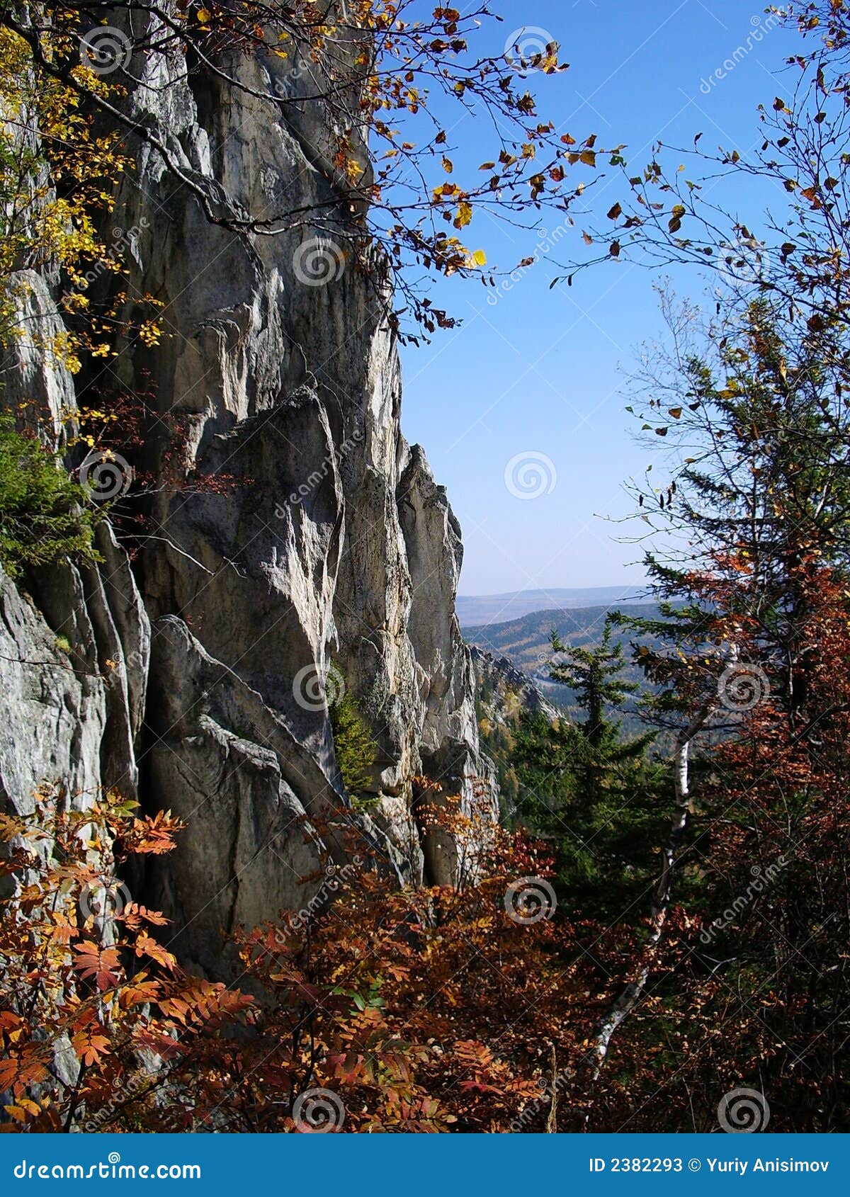 Rock in a forest stock image. Image of bush, foliag, color - 2382293
