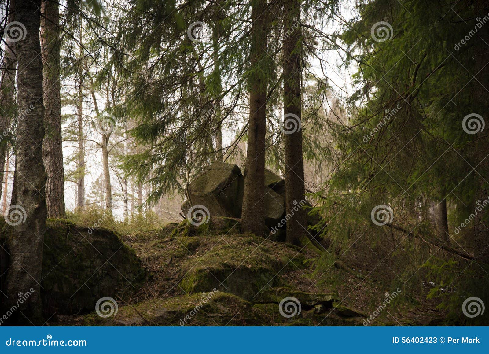 A rock in the forest stock image. Image of formation - 56402423