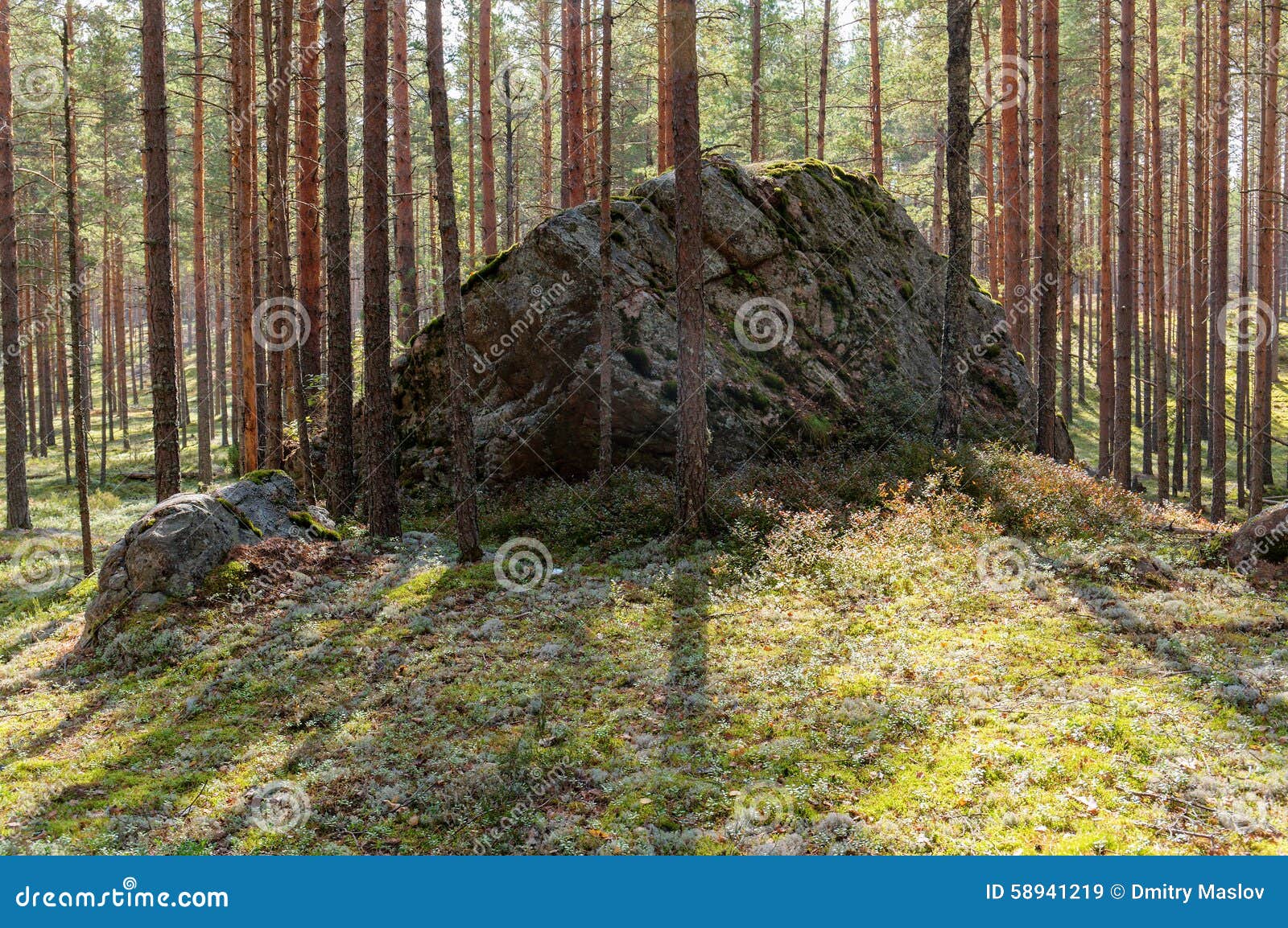 Rock in forest stock image. Image of autumn, tree, color - 58941219