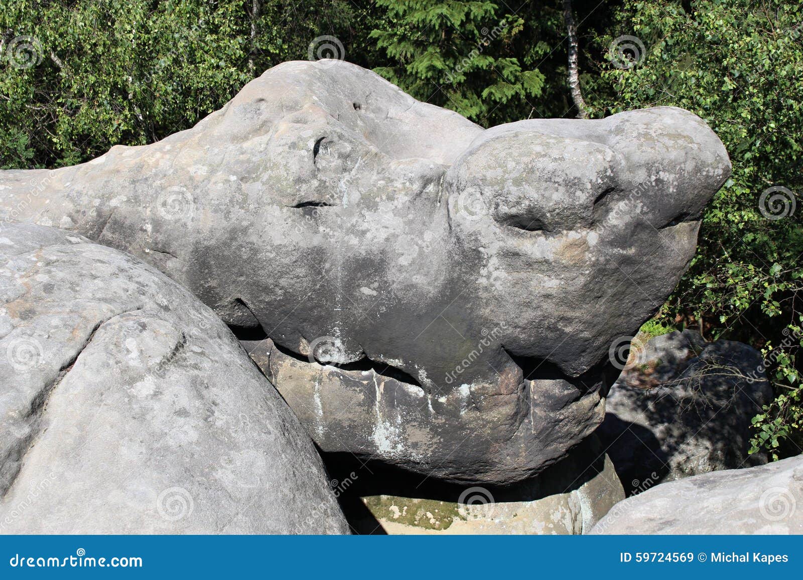 Rock formation stock image. Image of animal, geology - 59724569
