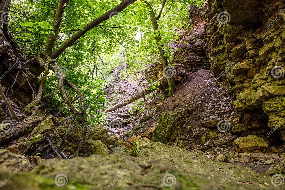 Rock Formation in the Forest in Nature Stock Photo - Image of beautiful ...