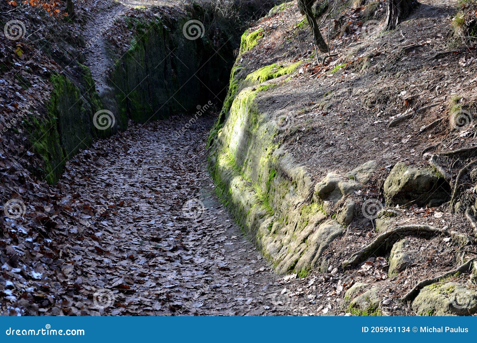 Rock Formation of Human Origin. the Forest Path Passing Along the ...