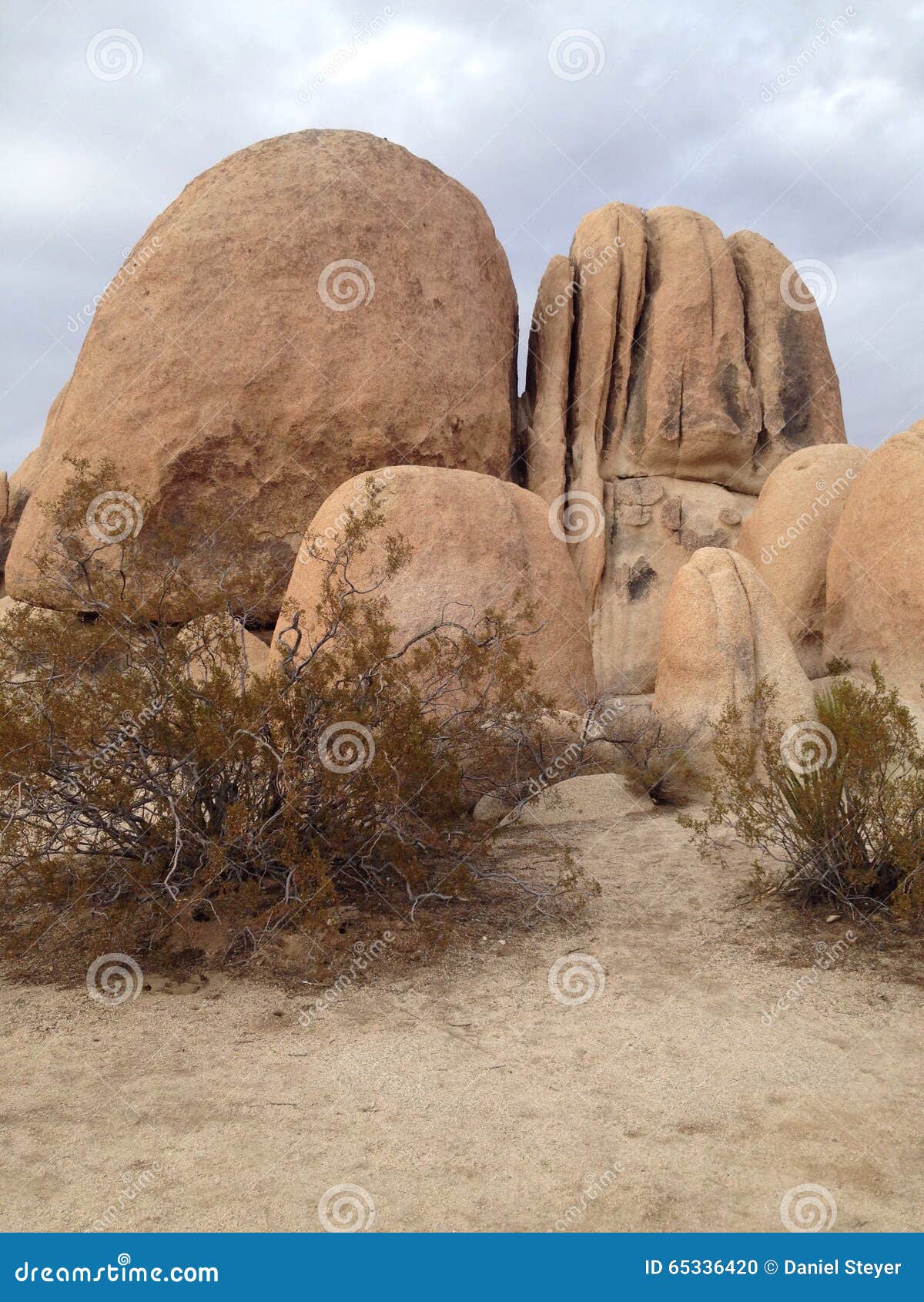 Rock formation stock photo. Image of winter, tree, rock - 65336420