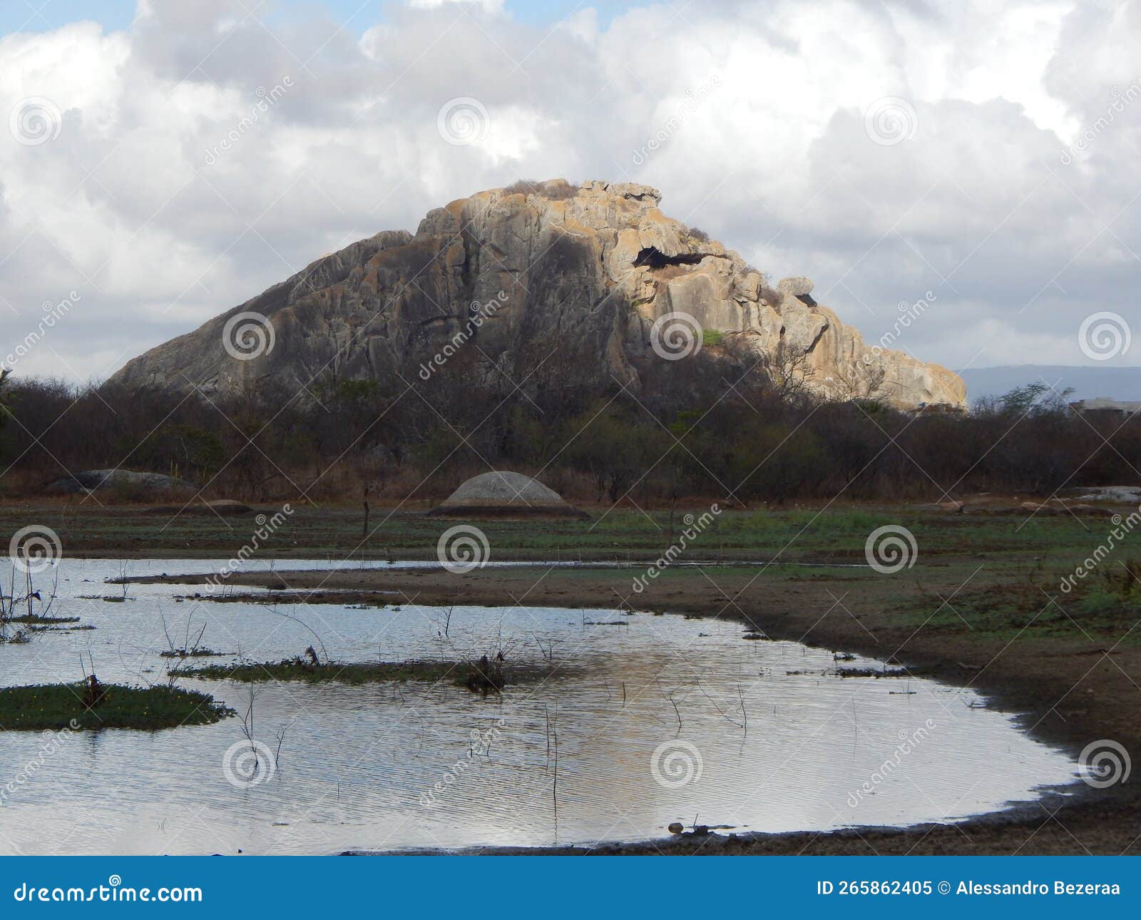 Face shaped rock stock image. Image of wetland, waterway - 265862405