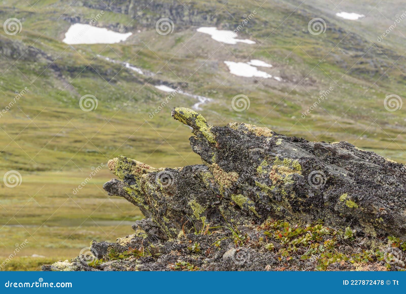 Rock Formation with Lichens in the Highlands Stock Photo - Image of ...