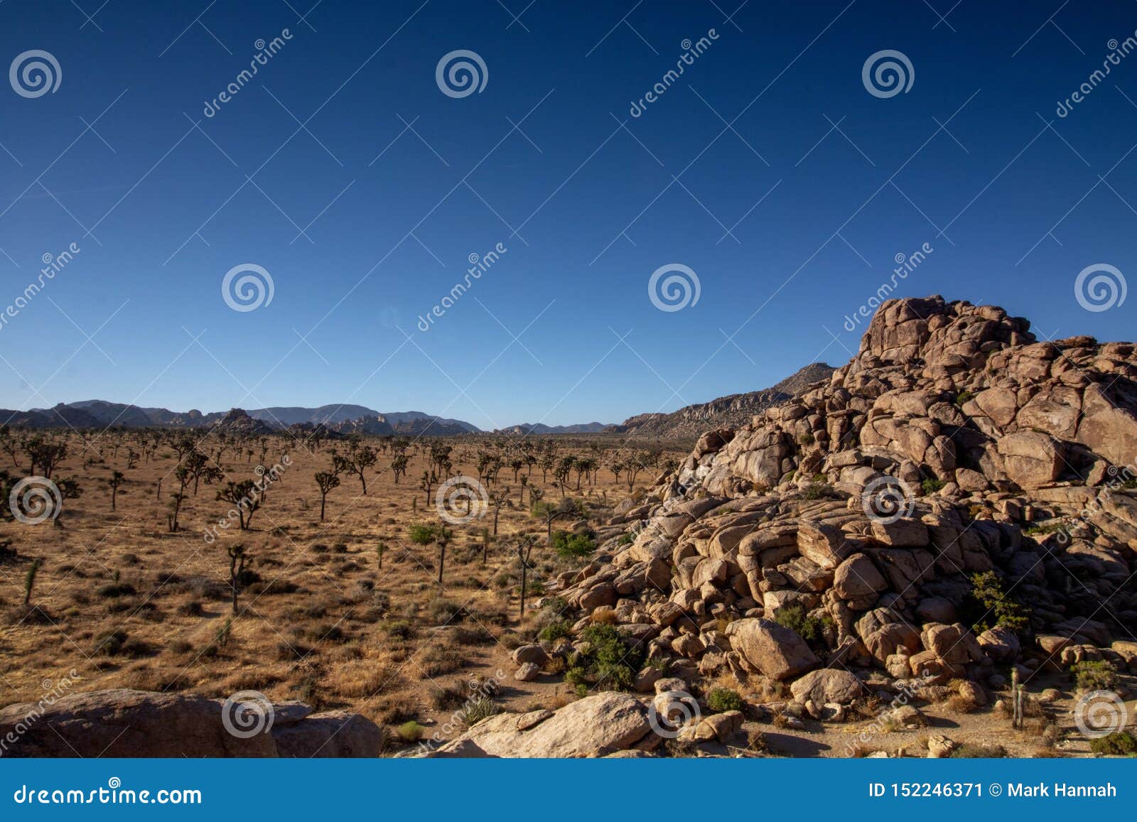Rock Formation in the Mojave Desert Stock Image - Image of springtime ...