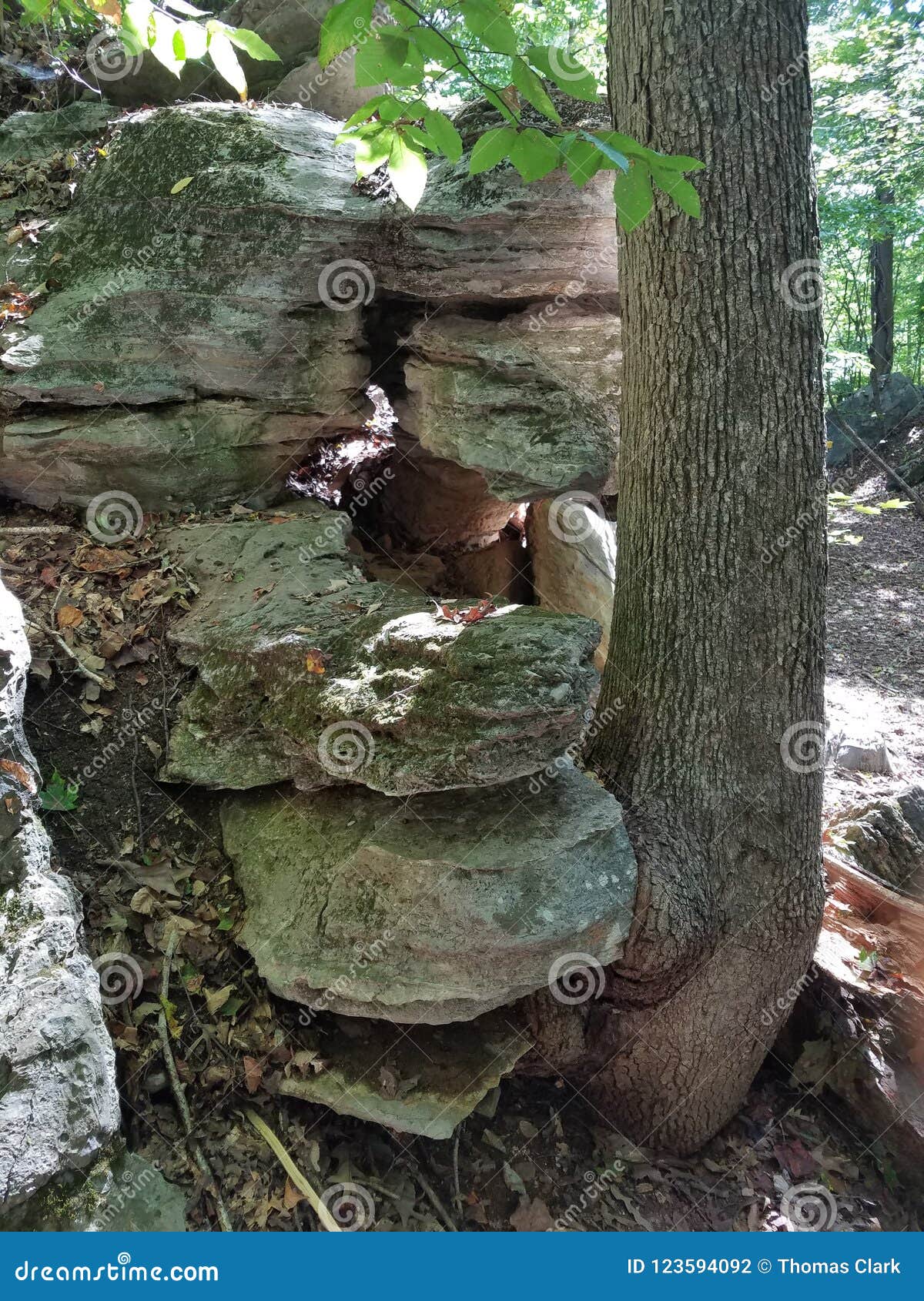 Rock formation stock photo. Image of rock, tree, formation - 123594092