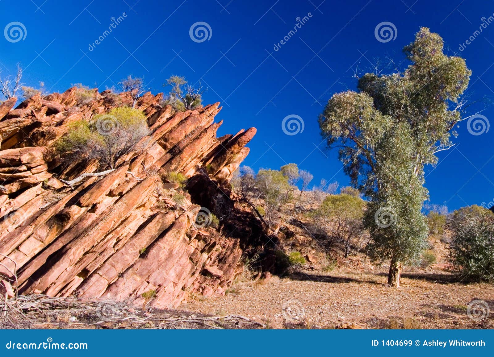 Rock Formation in Wilkawillina Gorge Stock Image - Image of hike ...