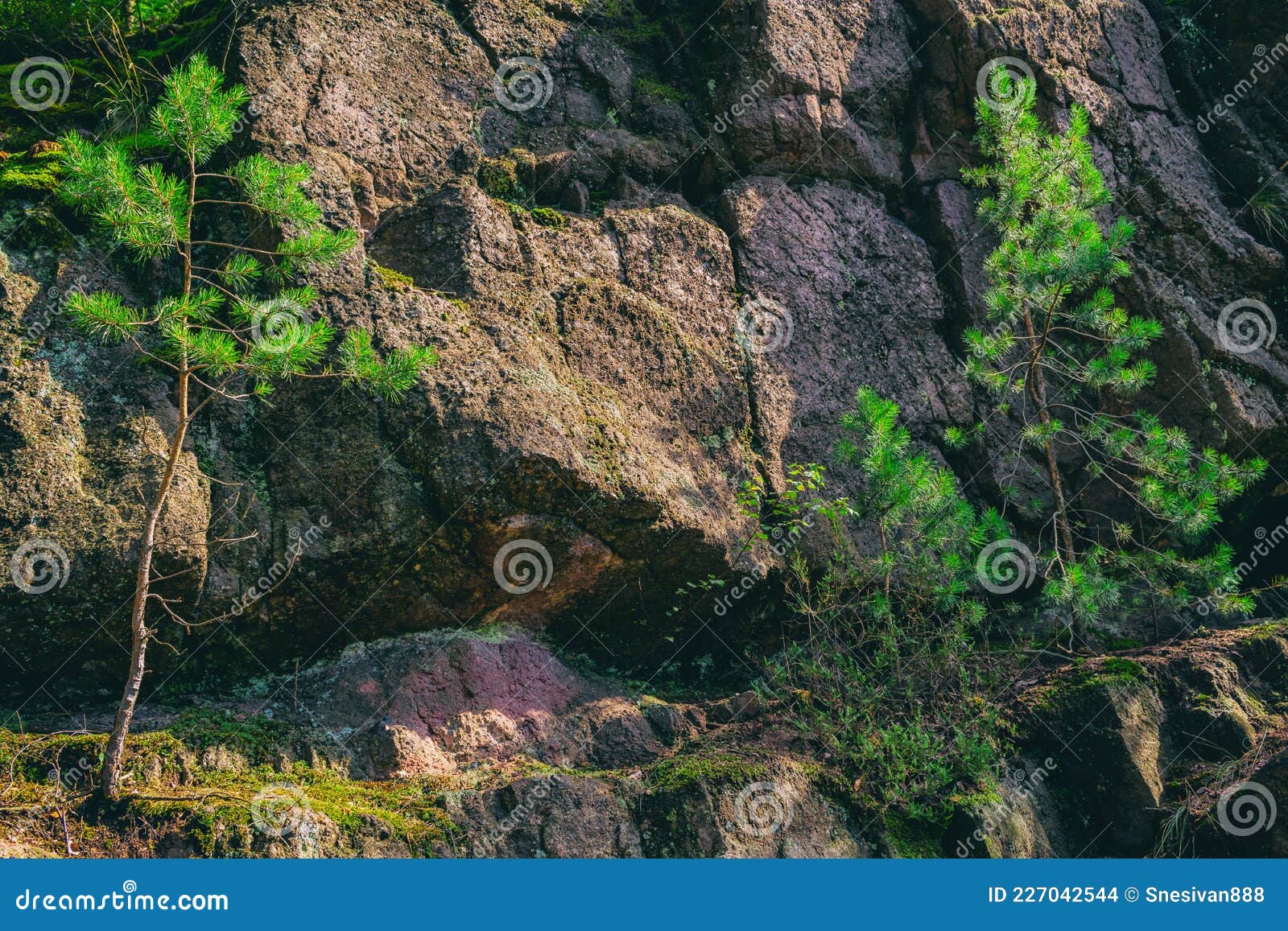 Rock Formation with Young Trees. Stock Photo - Image of blue, outdoor ...