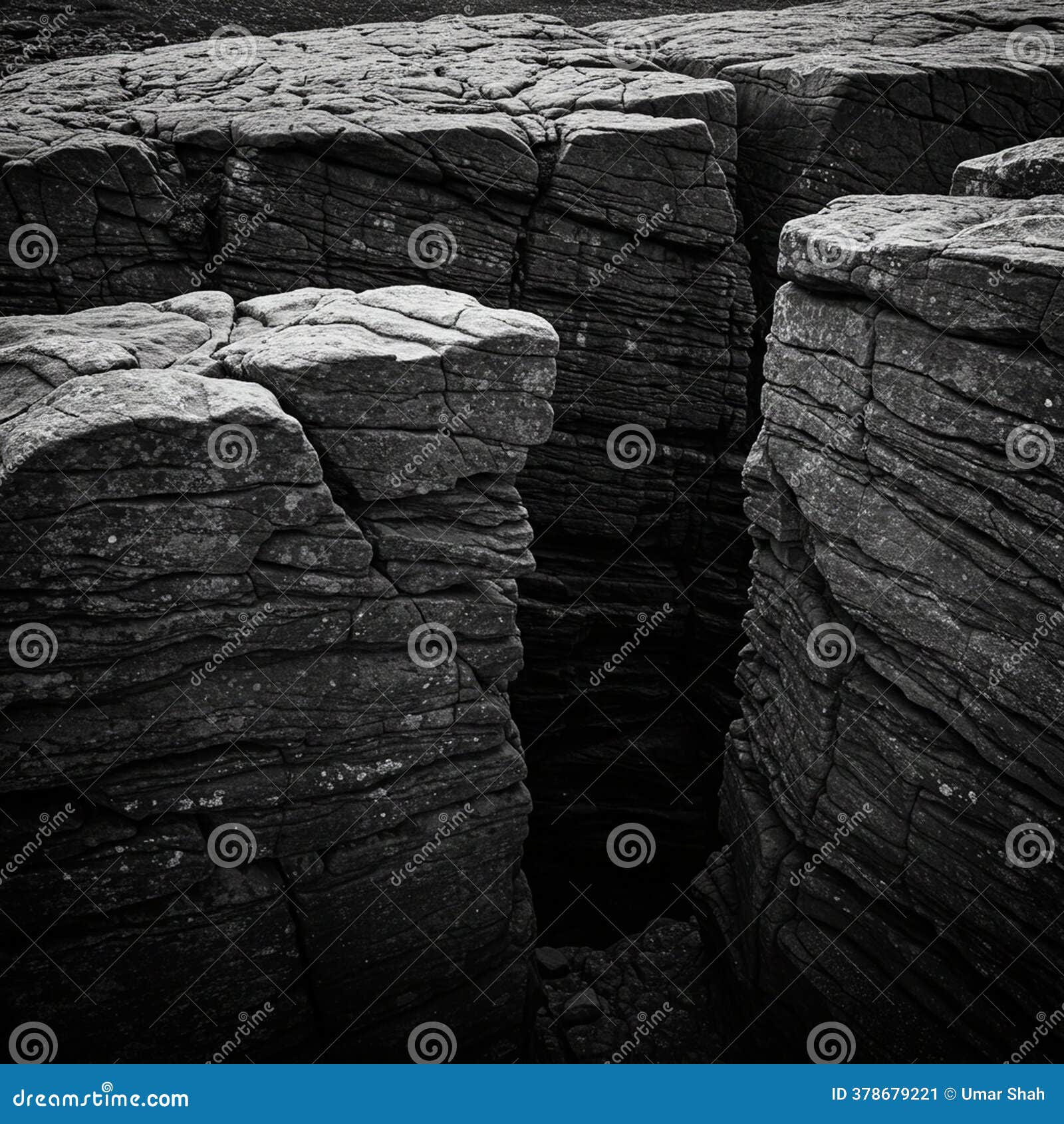 Types Of Forces Infographic Diagram Cartoon Vector | CartoonDealer.com ...