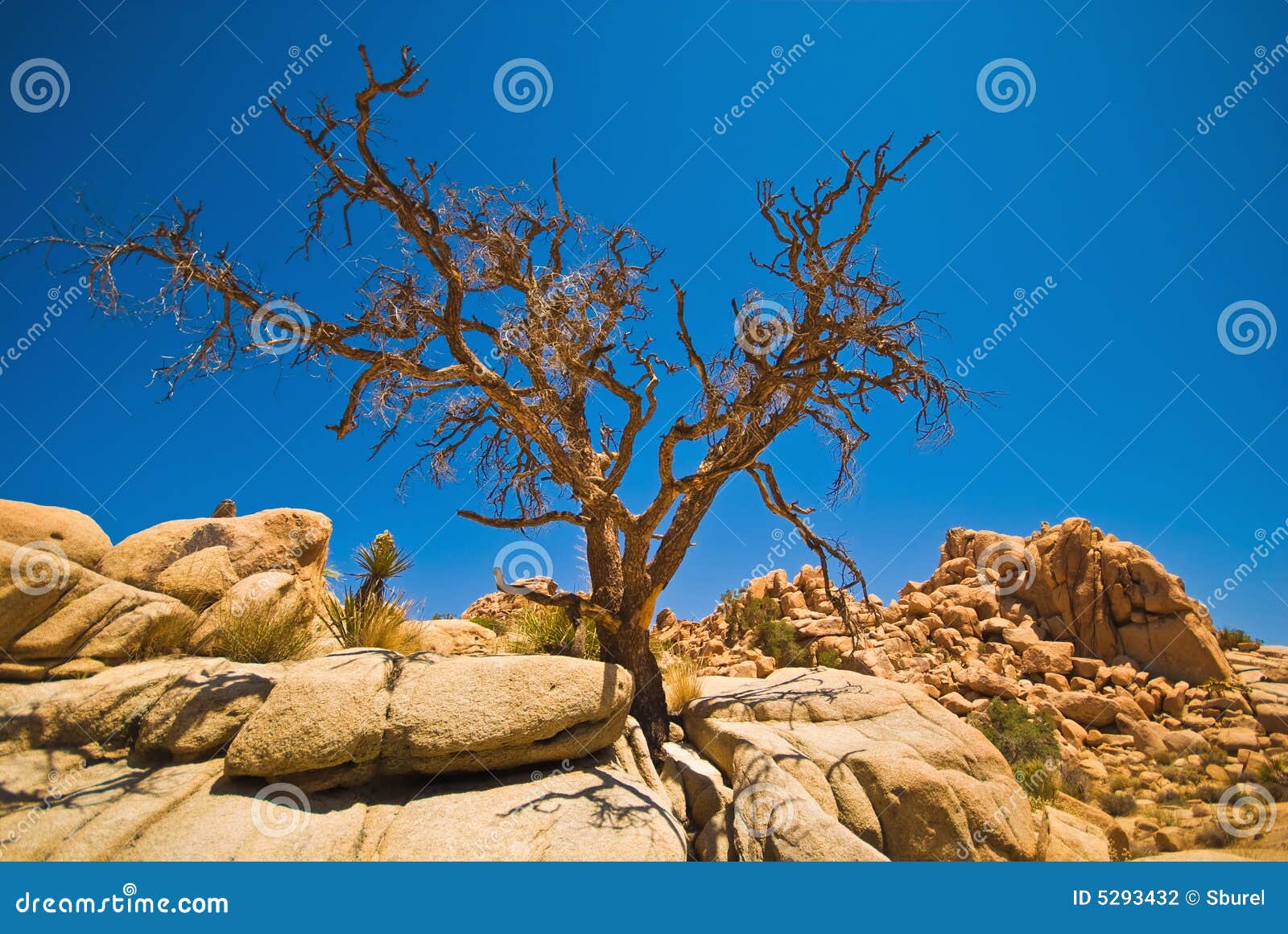 Rock Formations, Joshua Tree National Park Stock Photo - Image of ...