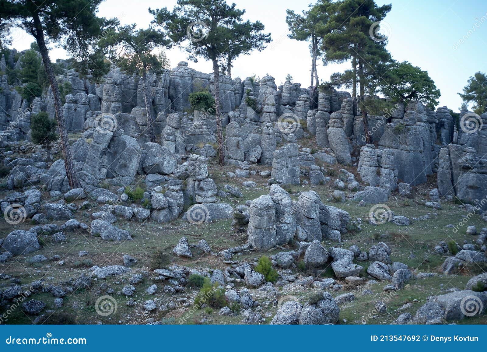 Rock Formations and Pine Trees. Stock Photo - Image of canyon, scenic ...