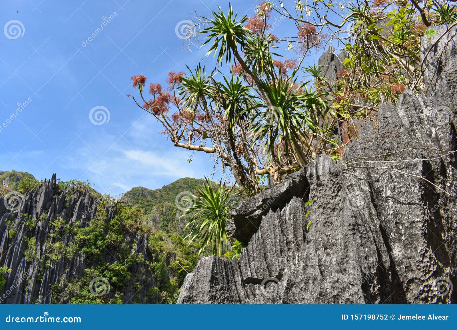 Rock Formations with Plants and Trees Stock Photo - Image of adventure ...