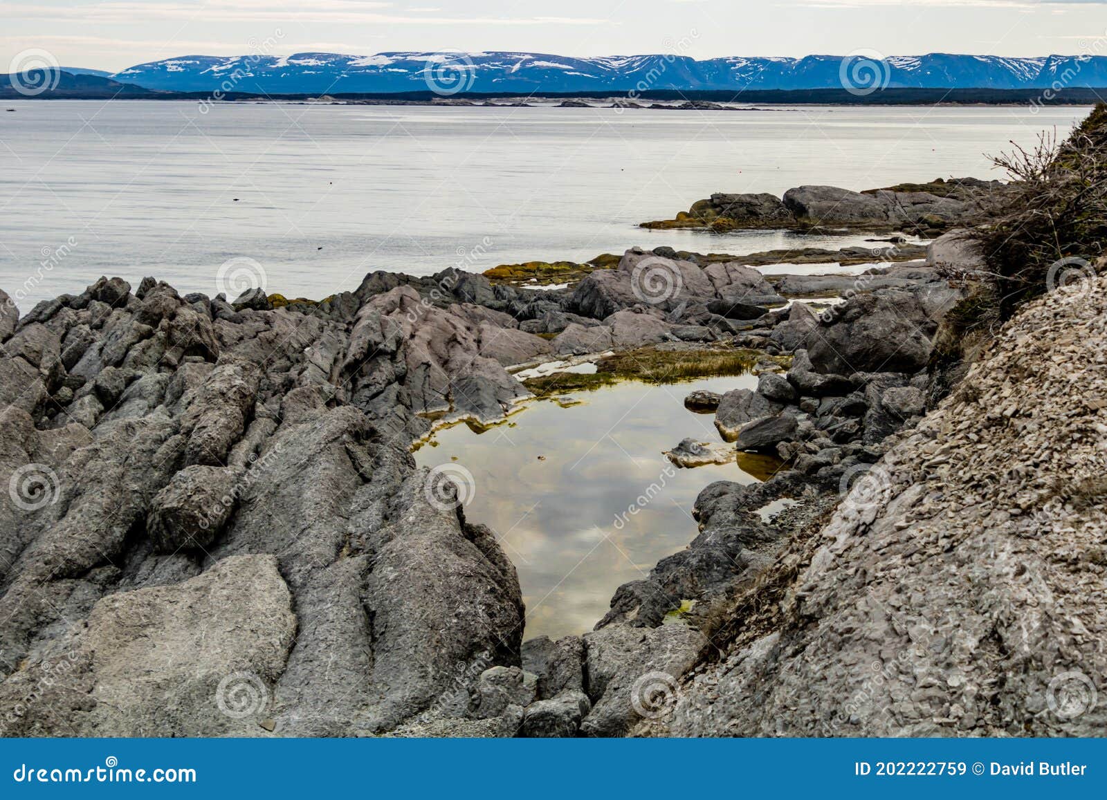 Rock Formations and Ponds on Spring Beach. Cow Head,Newfoundland,Canada ...