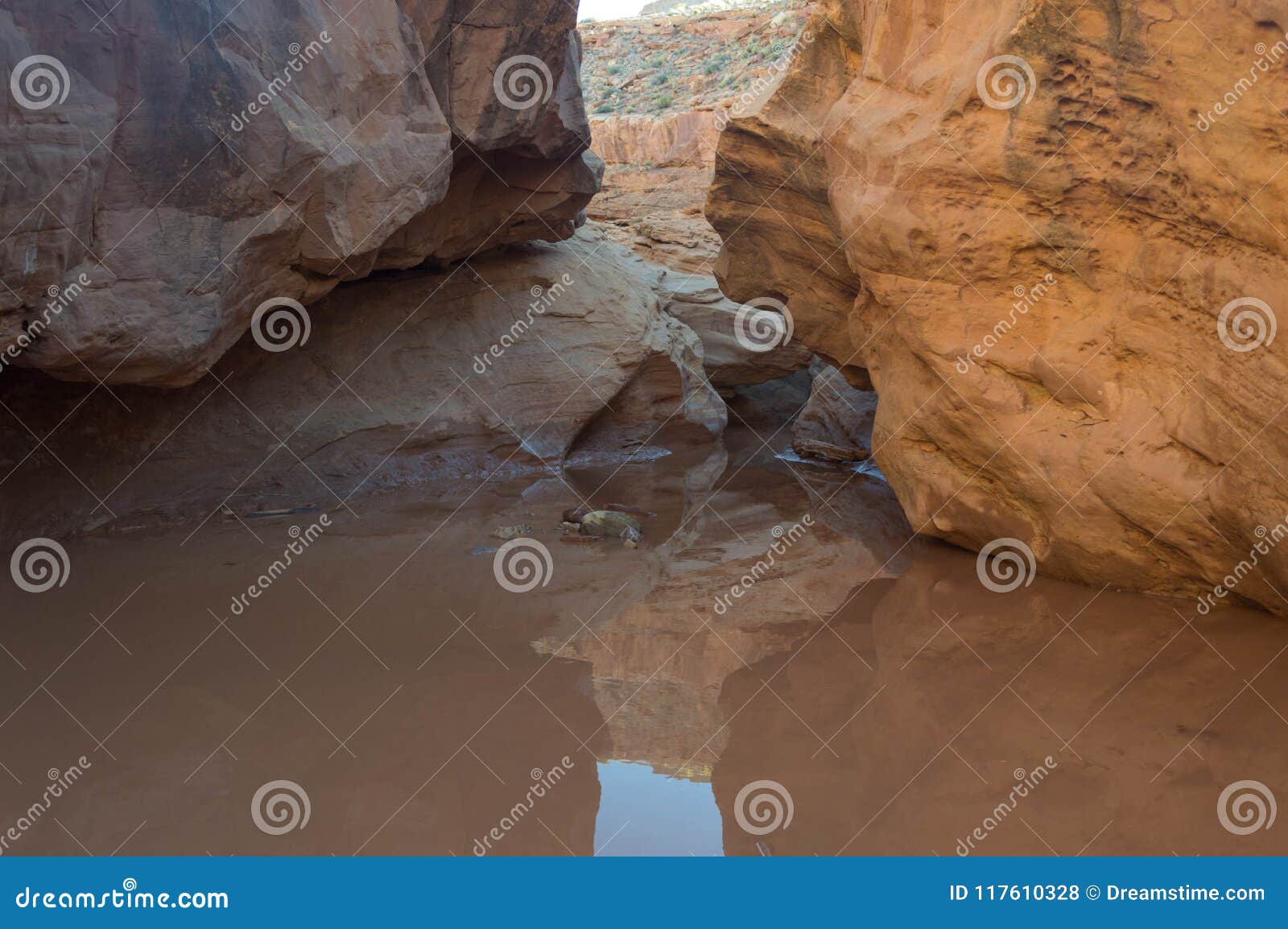 The Rock Formations are Reflected in a Muddy Puddle Stock Photo - Image ...