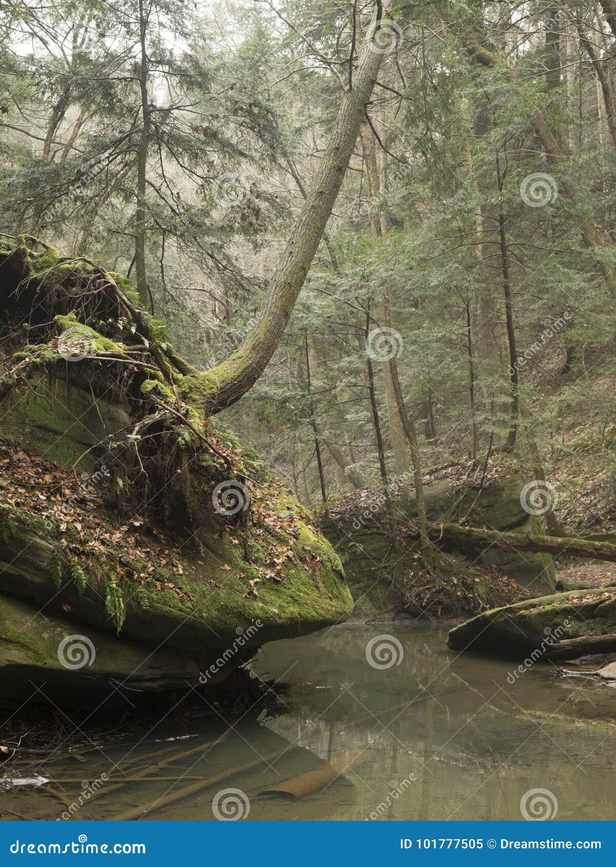 Various Fallen Rock Formations Stock Photos - Free & Royalty-Free Stock ...