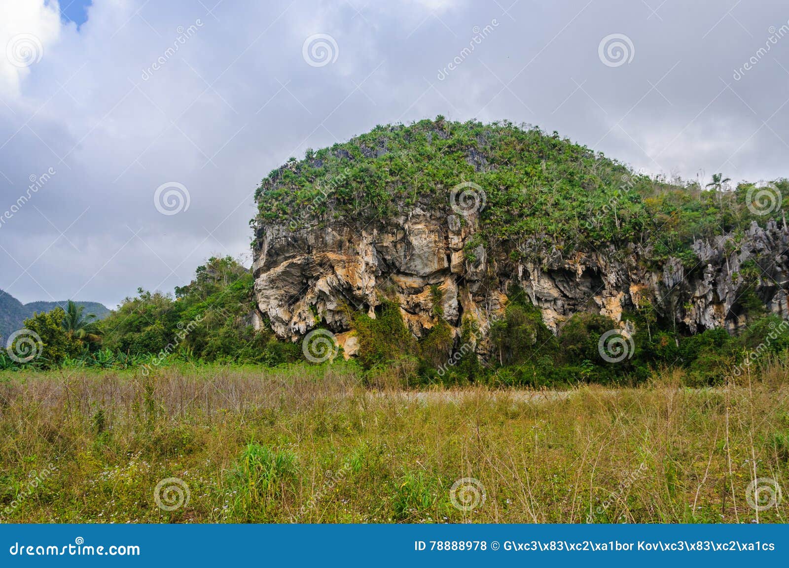 Rock Formations in Vinales Valley, Cuba Stock Photo - Image of landmark ...