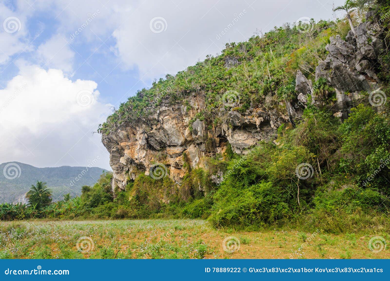 Rock Formations in Vinales Valley, Cuba Stock Photo - Image of nature ...