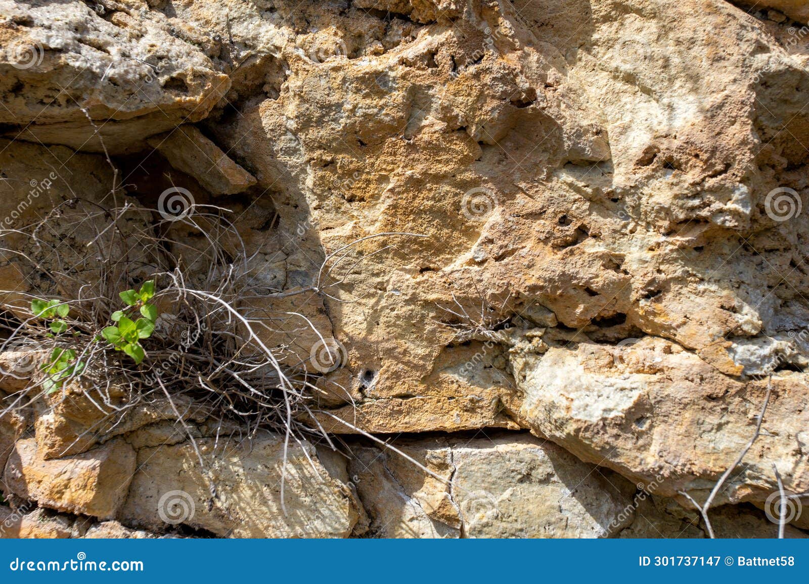 Rock Fractions on the Dumps in the Quarry and the Walls of the Quarry ...