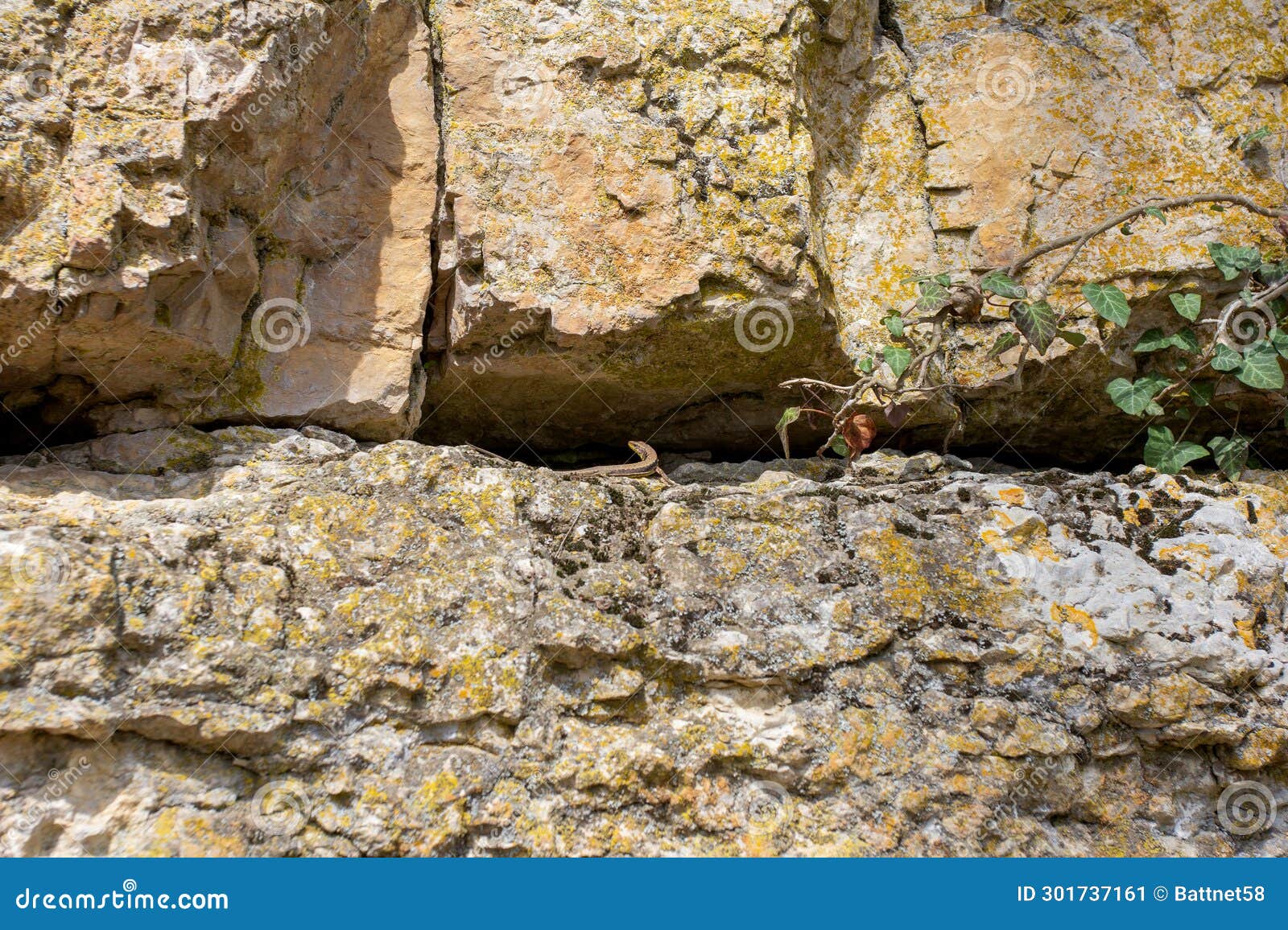 Rock Fractions on the Dumps in the Quarry and the Walls of the Quarry ...