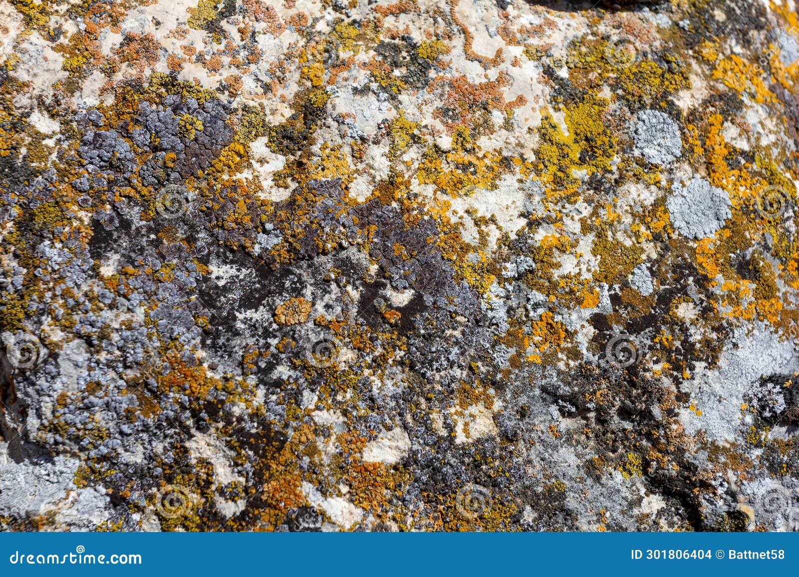 Rock Fractions on the Dumps in the Quarry and the Walls of the Quarry ...