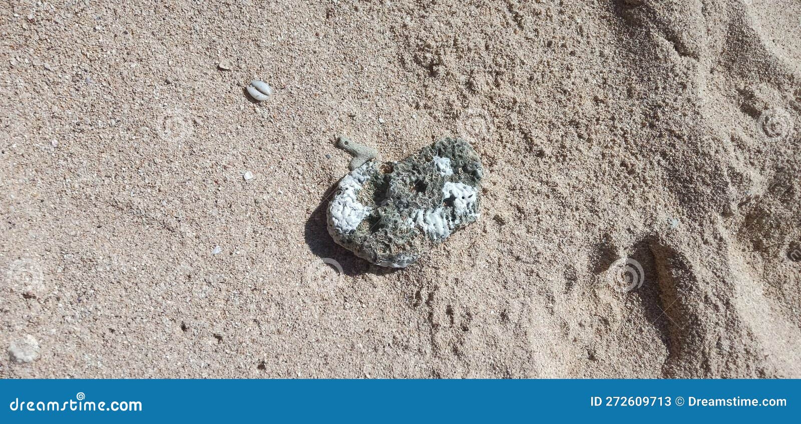 Rock Fragments stock image. Image of geologic, geology - 272609713