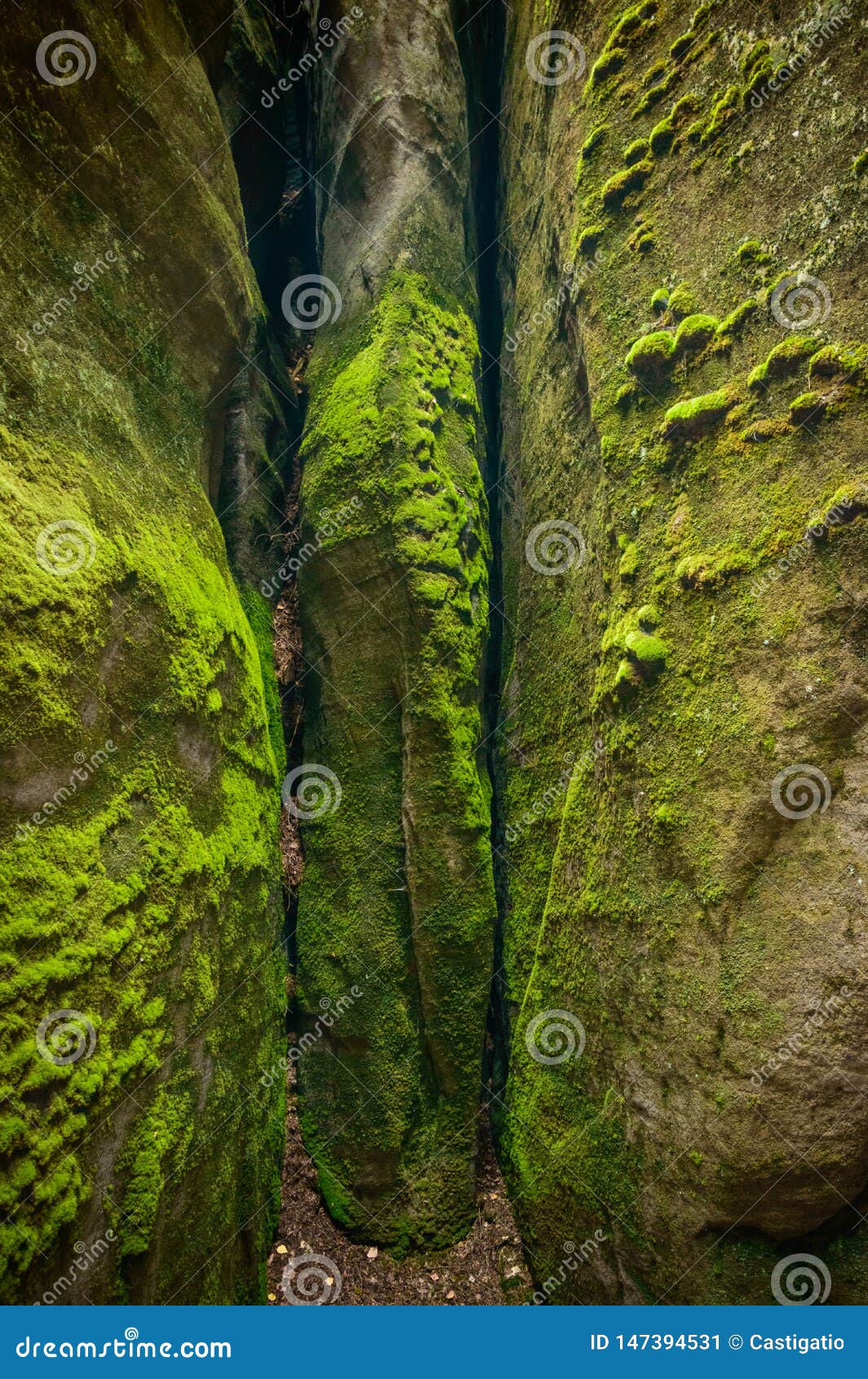 A Rock Gap, Sandstone Rocks Overgrown with Green Moss Stock Image ...