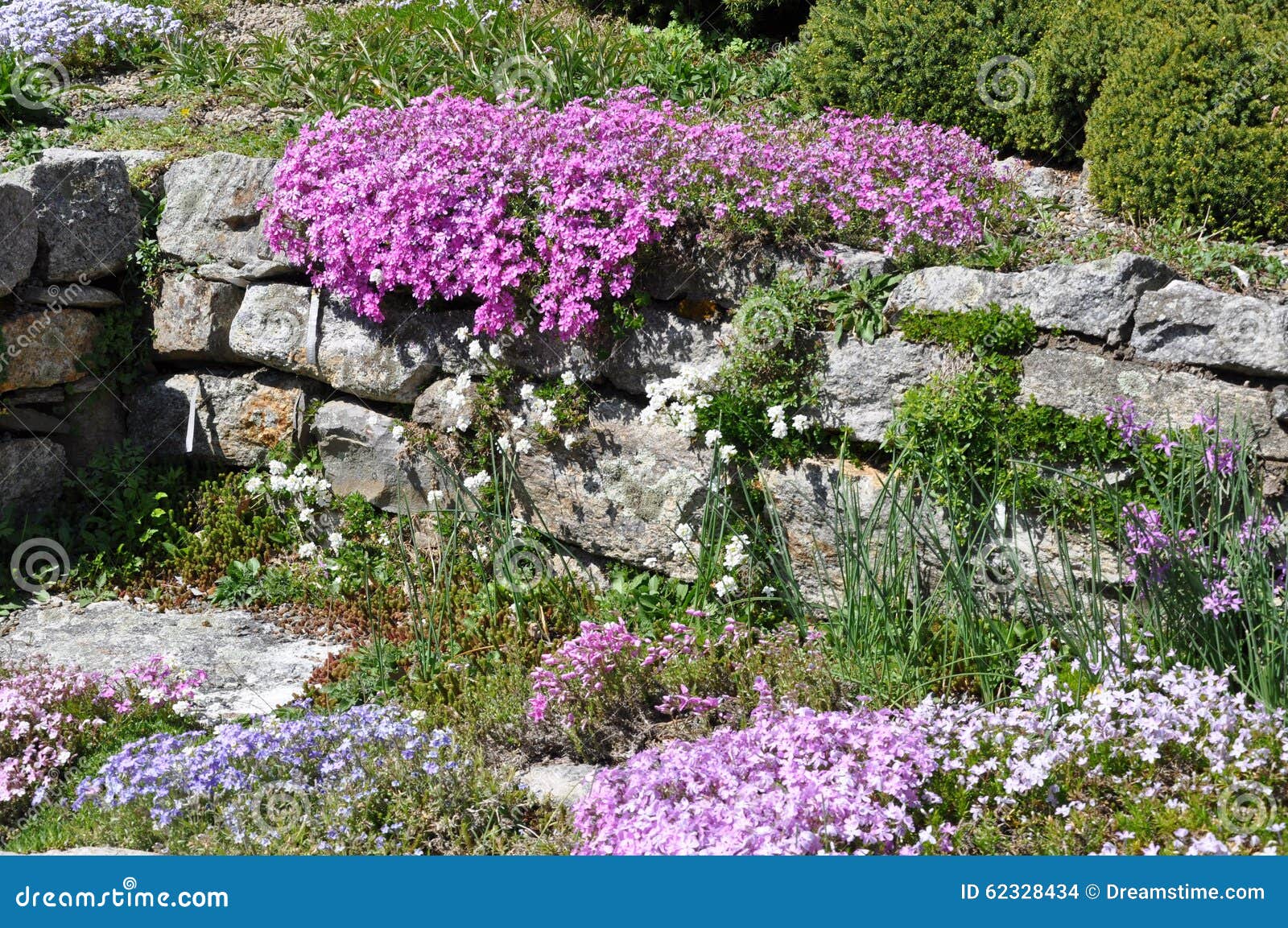 ROCK GARDEN stock photo. Image of springtime, grounds - 62328434