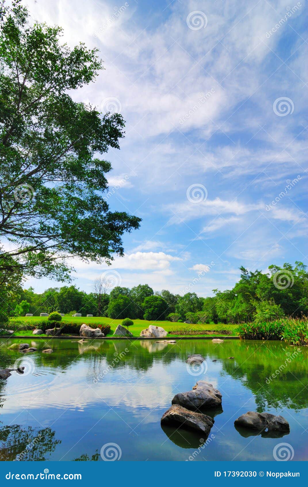 Rock in garden pond stock photo. Image of calm, reflection - 17392030