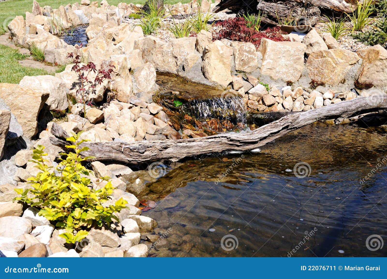 Rock Garden with a Pond in the Park Staging Stock Image - Image of fish ...