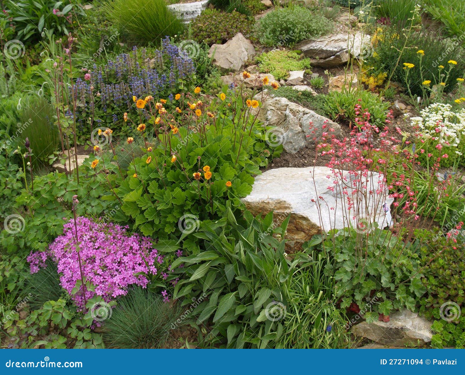 Rock garden in the spring stock photo. Image of achillea - 27271094