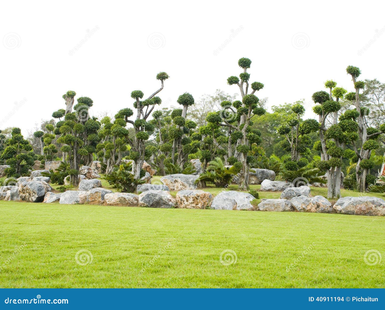 Rock Garden and Trained Trees. Stock Photo - Image of decoration ...