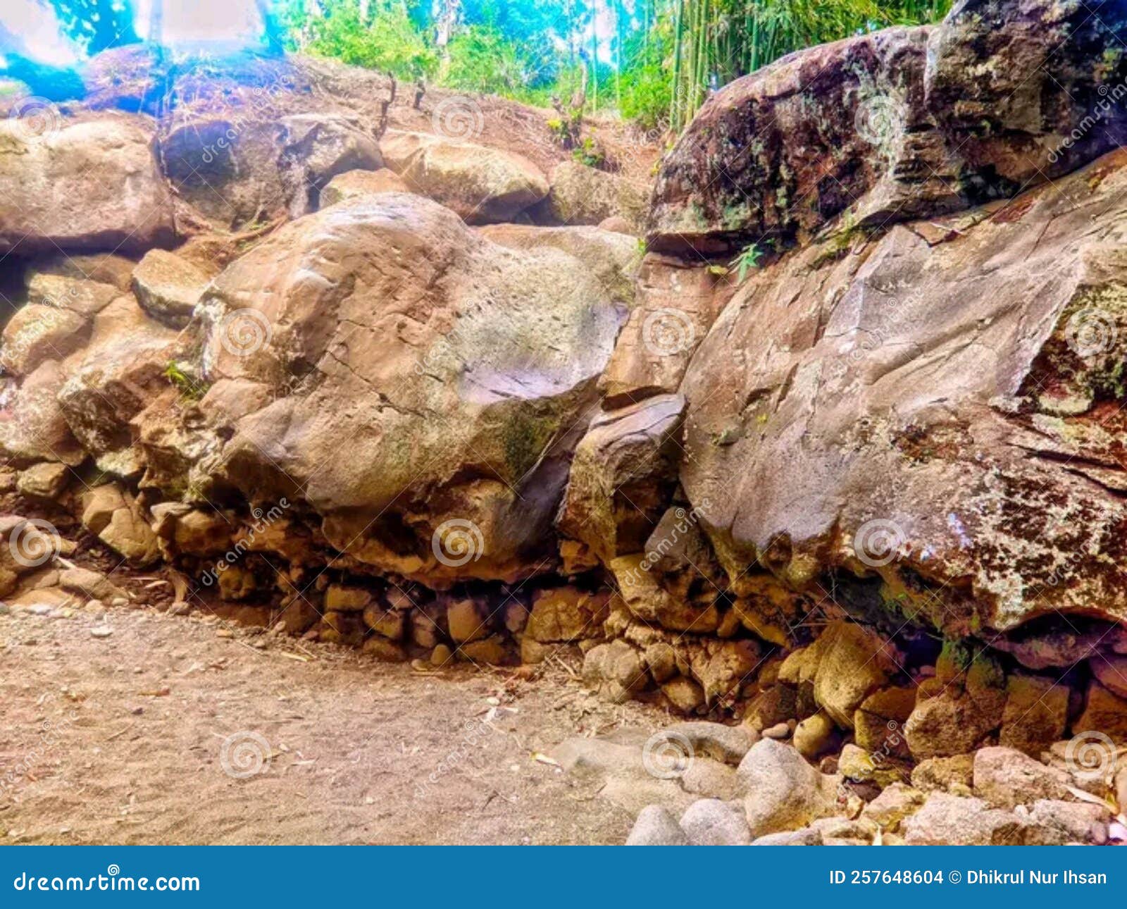 Rock geology wildlife tree stock photo. Image of wood - 257648604