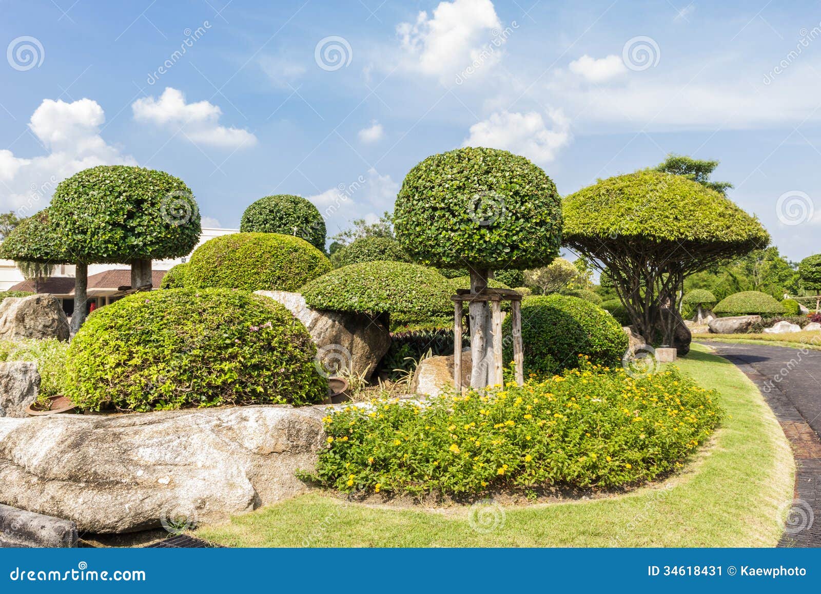 Rock graden stock image. Image of conifer, rock, perennial - 34618431
